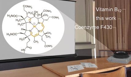 A Nickel(II)‐Containing Vitamin B12 Derivative with a Cofactor‐F430 ...