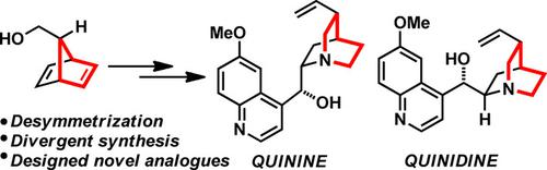 A Local‐Desymmetrization‐Based Divergent Synthesis of Quinine and ...