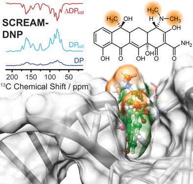 Complex Formation of the Tetracycline‐Binding Aptamer Investigated by ...