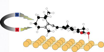 Spin in a Closed‐Shell Organic Molecule on a Metal Substrate Generated ...