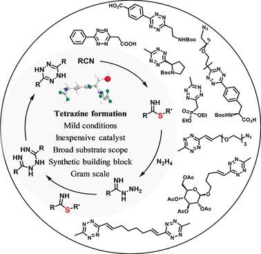Organocatalytic and Scalable Syntheses of Unsymmetrical 1,2,4,5 ...