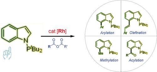 PIII‐Chelation‐Assisted Indole C7‐Arylation, Olefination, Methylation ...