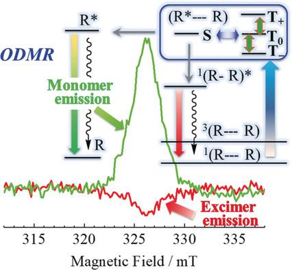 Luminescent Radical‐Excimer: Excited‐State Dynamics of Luminescent ...