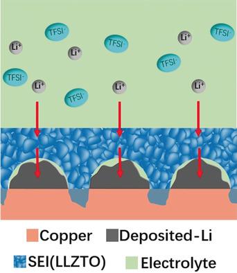 Anchoring an Artificial Solid–Electrolyte Interphase Layer on a 3D ...