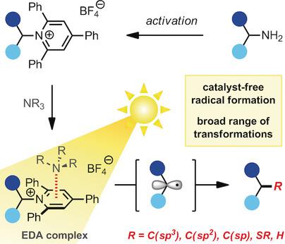 Catalyst‐Free Deaminative Functionalizations of Primary Amines by ...