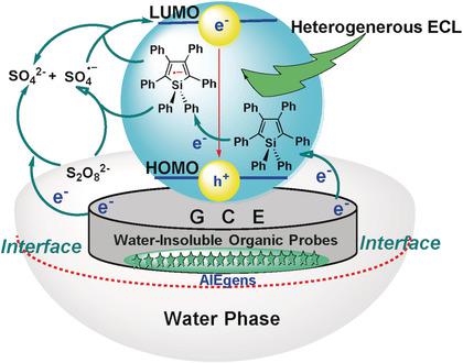 Electrochemiluminescence Platforms Based on Small Water‐Insoluble ...