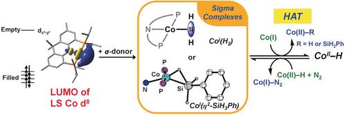 A Low‐Spin Three‐Coordinate Cobalt(I) Complex and Its Reactivity toward ...