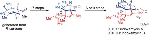 Total Synthesis of (−)‐Indoxamycins A and B,Angewandte Chemie ...