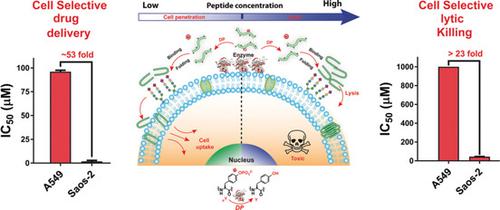 De novo Design of Selective Membrane-Active Peptides by Enzymatic ...