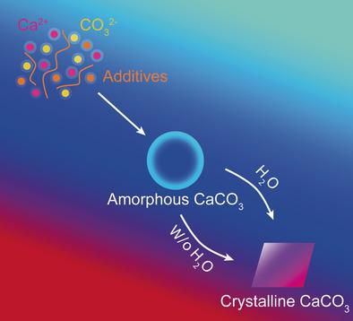 水：它如何影响CaCO3的形成？,Angewandte Chemie International Edition - X-MOL
