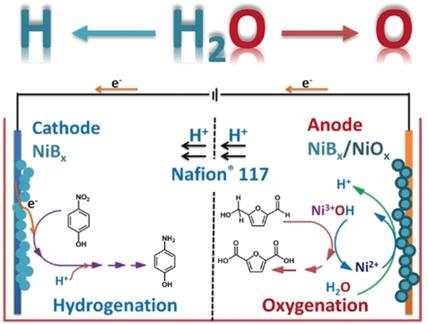 Paired Electrocatalytic Oxygenation and Hydrogenation of Organic ...