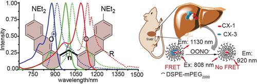 Stable, Wavelength-Tunable Fluorescent Dyes in the NIR-II Region for In ...