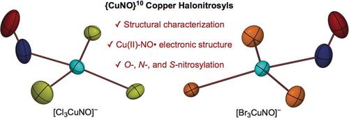 四配位卤代亚硝基铜{CuNO} 10配合物,Angewandte Chemie International Edition - X-MOL