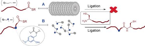 Ligation of Soluble but Unreactive Peptide Segments in the Chemical ...