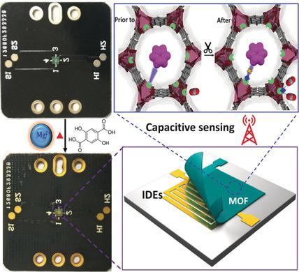 On-Chip Tailorability of Capacitive Gas Sensors Integrated with Metal ...