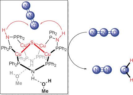 在次级配位球中由氢键供体和质子中继调节的4CuI氧化还原状态下[Cu4 S]簇的N2 O还原酶活性。,Angewandte Chemie ...