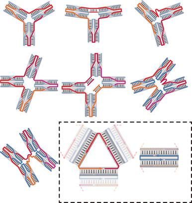Self-Assembly of Wireframe DNA Nanostructures from Junction Motifs ...