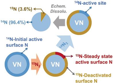 Quantification of Active Sites and Elucidation of the Reaction ...