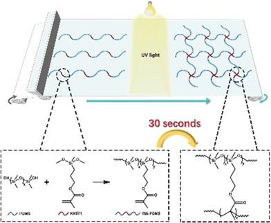 The Ultrafast and Continuous Fabrication of a Polydimethylsiloxane ...
