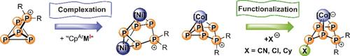 通过络合作用使五磷酸阳离子官能化。,Angewandte Chemie International Edition - X-MOL