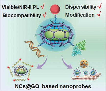 Graphene-Oxide-Modified Lanthanide Nanoprobes for Tumor-Targeted Visible/NIR-II Luminescence ...