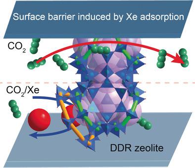 Xenon Recovery by DD3R Zeolite Membranes: Application in Anaesthetics ...