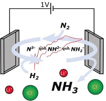 The Feasibility of Electrochemical Ammonia Synthesis in Molten LiCl-KCl ...