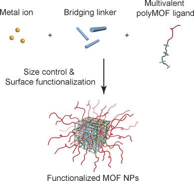 PolyMOF纳米颗粒：多价polyMOF配体在尺寸控制和表面功能化中的双重作用。,Angewandte Chemie ...