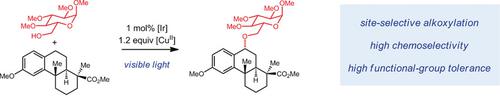 Site-Selective Alkoxylation of Benzylic C-H Bonds by Photoredox ...