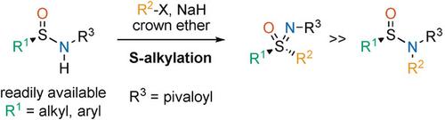 Asymmetric Synthesis of Chiral Sulfoximines through the S-Alkylation of ...