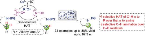 Enantioselective Copper(I)/Chiral Phosphoric Acid Catalyzed Intramolecular Amination of Allylic ...