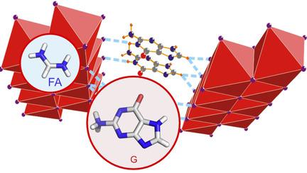 Guanine-Stabilized Formamidinium Lead Iodide Perovskites.,Angewandte ...