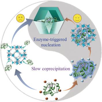Modulating the Biofunctionality of Metal-Organic-Framework-Encapsulated ...