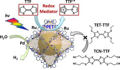 The Redox Coupling Effect in a Photocatalytic RuII -PdII Cage with TTF ...