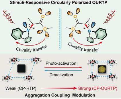 Stimuli-Responsive Circularly Polarized Organic Ultralong Room Temperature Phosphorescence ...