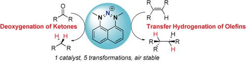 Nitrenium Salts in Lewis Acid Catalysis.,Angewandte Chemie ...