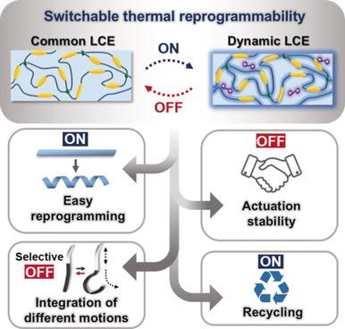 Liquid-Crystalline Soft Actuators with Switchable Thermal Reprogrammability.,Angewandte Chemie ...