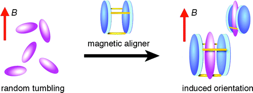 Parallel-Stacked Aromatic Hosts for Orienting Small Molecules in a ...