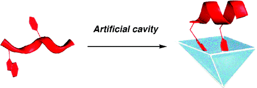 Inducing α-Helices in Short Oligopeptides through Binding by an ...
