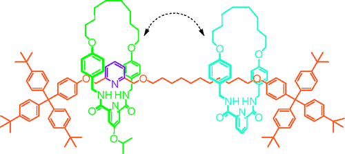 Sequence Isomerism in [3]Rotaxanes,Journal of the American Chemical ...