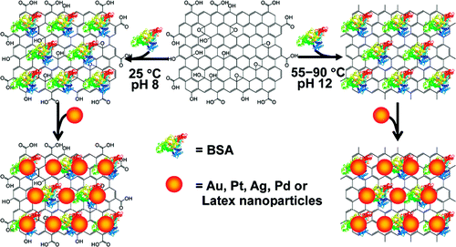 Toward a Universal “Adhesive Nanosheet” for the Assembly of Multiple ...
