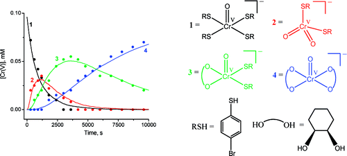 Formation and Reactivity of Chromium(V)−Thiolato Complexes: A Model for ...