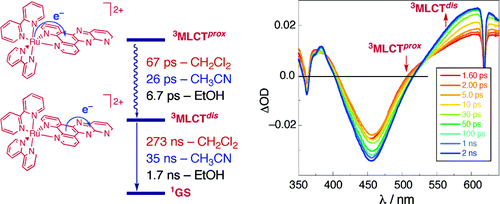 Ultrafast Dynamics of the Low-Lying3MLCT States of [Ru(bpy)2(dppp2)]2 ...