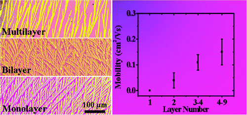 Controllable Growth and Field-Effect Property of Monolayer to ...