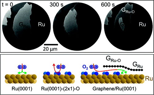 Chemistry under Cover: Tuning Metal−Graphene Interaction by Reactive ...