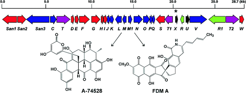 Cloning, Sequencing, Heterologous Expression, and Mechanistic Analysis ...