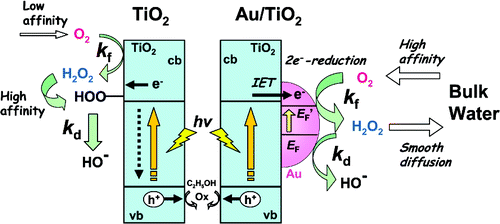 In Situ Liquid Phase Synthesis of Hydrogen Peroxide from Molecular ...
