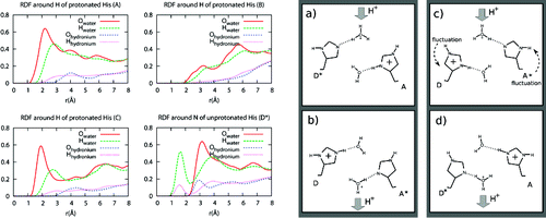 Proton Transport through the Influenza A M2 Channel: Three-Dimensional Reference Interaction ...