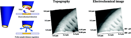 通过具有离子电流反馈调节功能的 SECM/SICM 同时进行非接触式形貌和电化学成像,Journal of the American ...