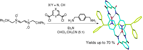 Nitrone [2]Rotaxanes: Simultaneous Chemical Protection and ...